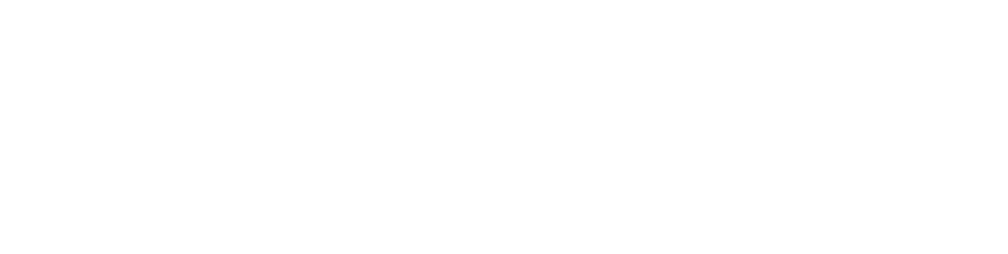 SkyMed Essentials | Air Ambulance | Medical Evacuation